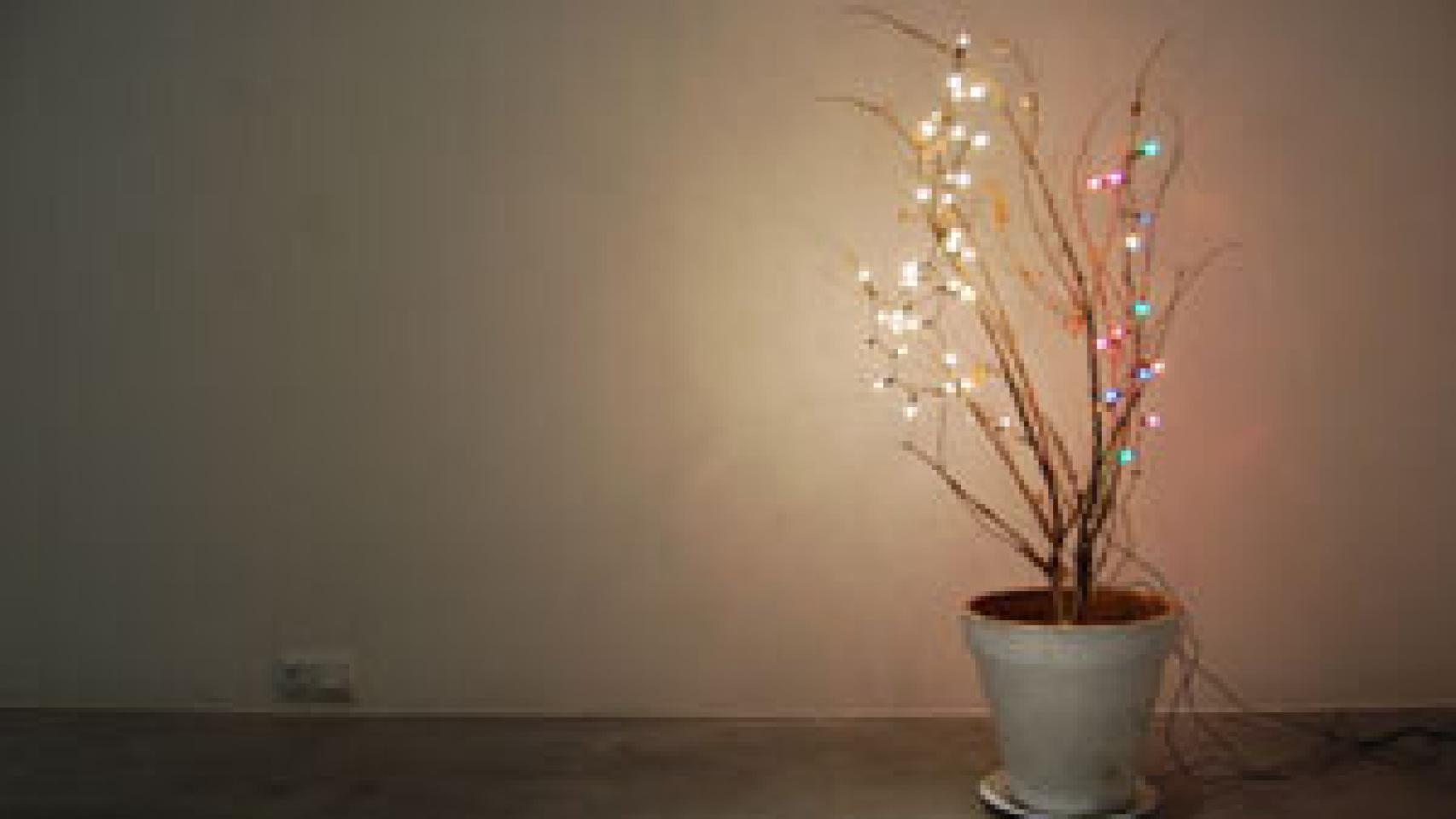 La relevancia de lo trivial