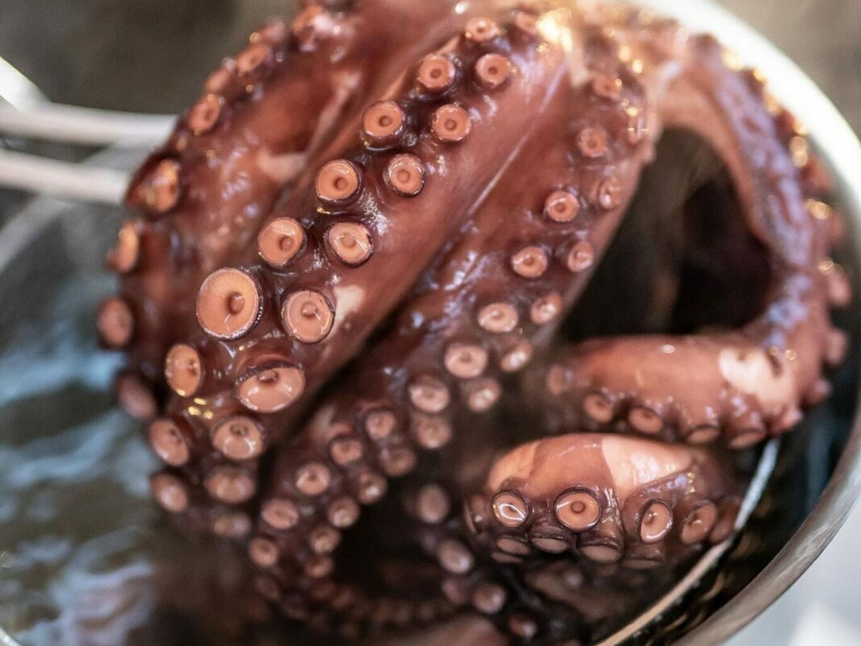 Cómo cocinar un pulpo, tres recetas explicadas por una gallega