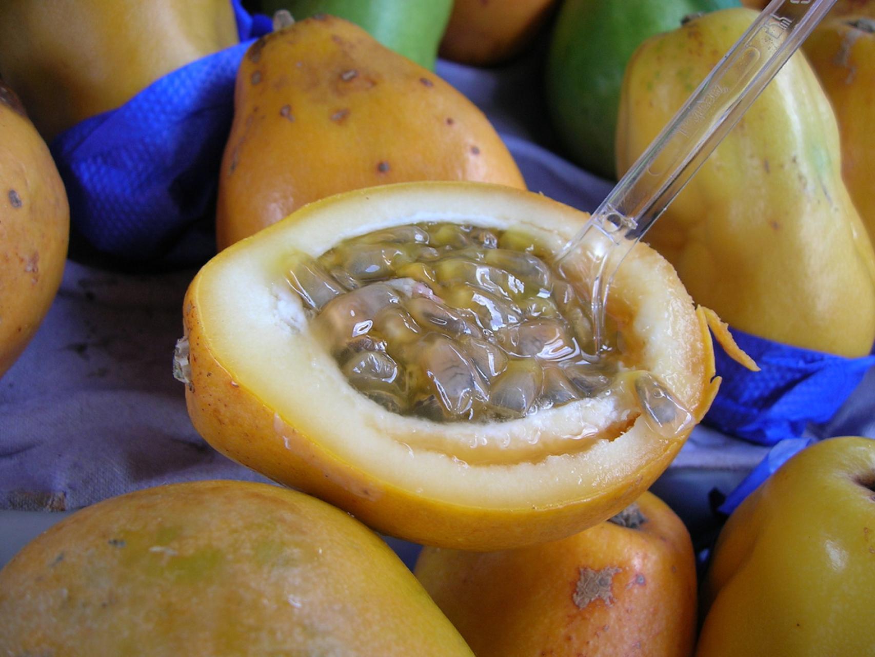 Cocotas Fruta Jocote: Qué Es Y Cuáles Son Sus Beneficios