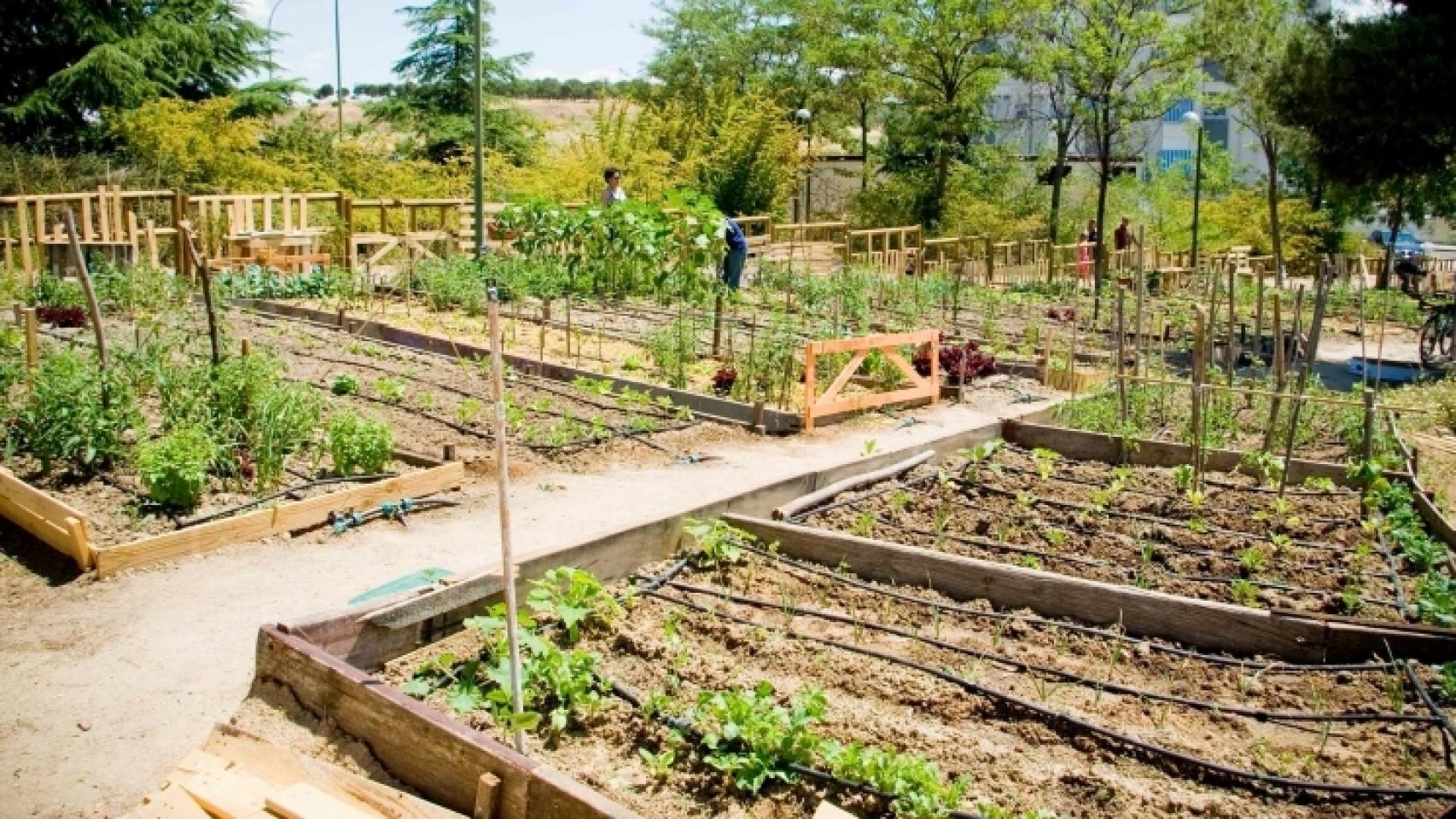 Huertos Urbanos Comunitarios De Madrid Cultiva Tus Propias Verduras En