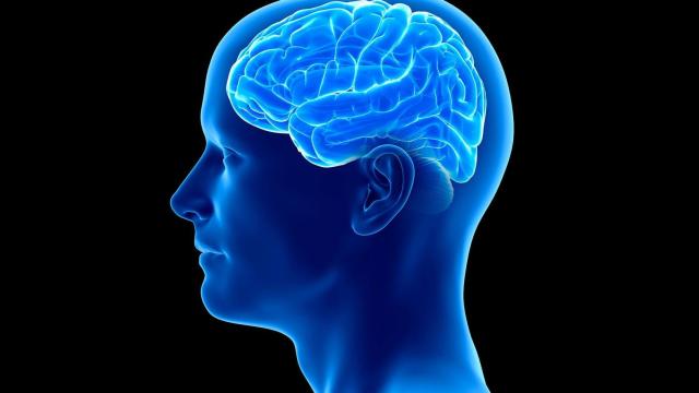 Doctor López de Munain, el sabio del cerebro: "La mejor forma de ...
