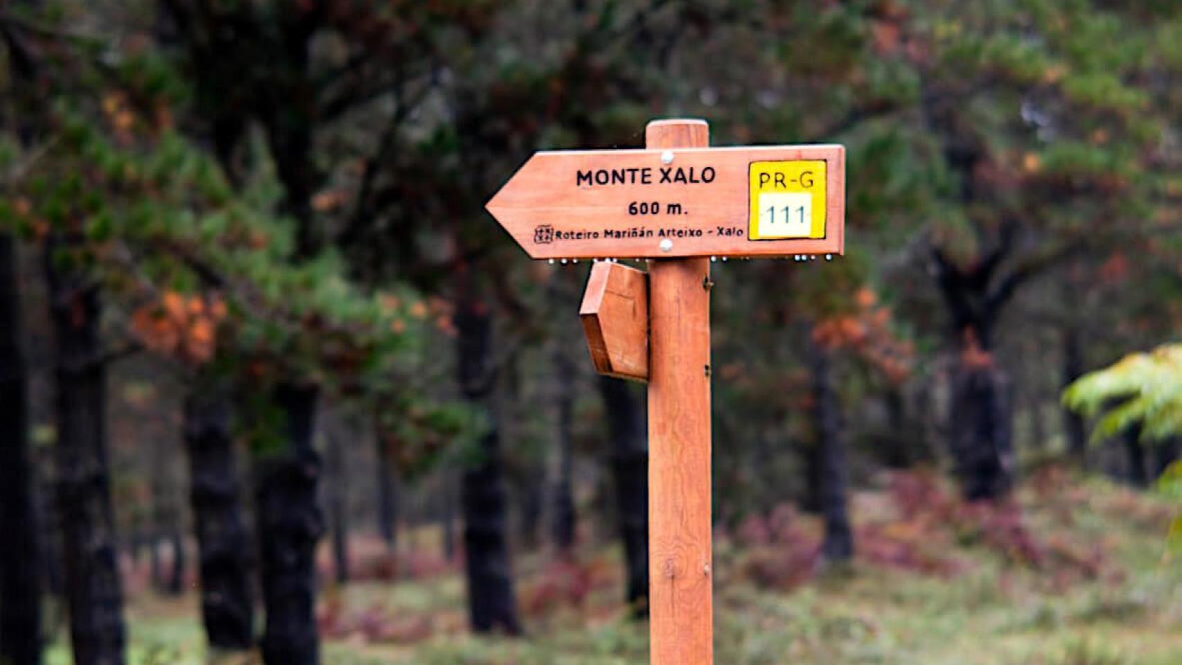 9 lugares donde disfrutar de la nieve en Galicia: ideales para una ...