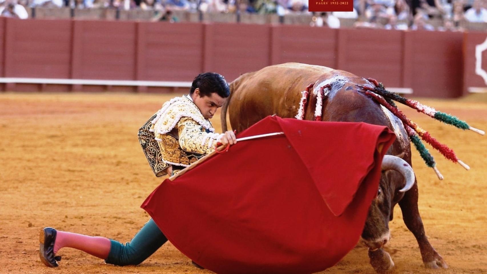El novillero vallisoletano Mario Navas, deleite para aficionados en Sevilla