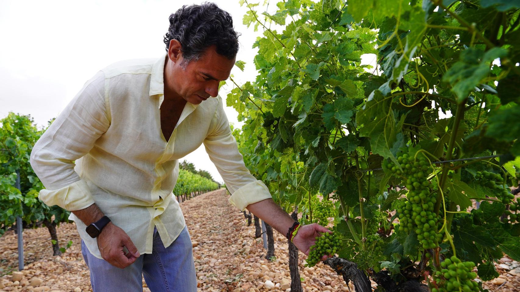 Valdrinal Rosé, el vino que evoca los mejores veranos de nuestra vida