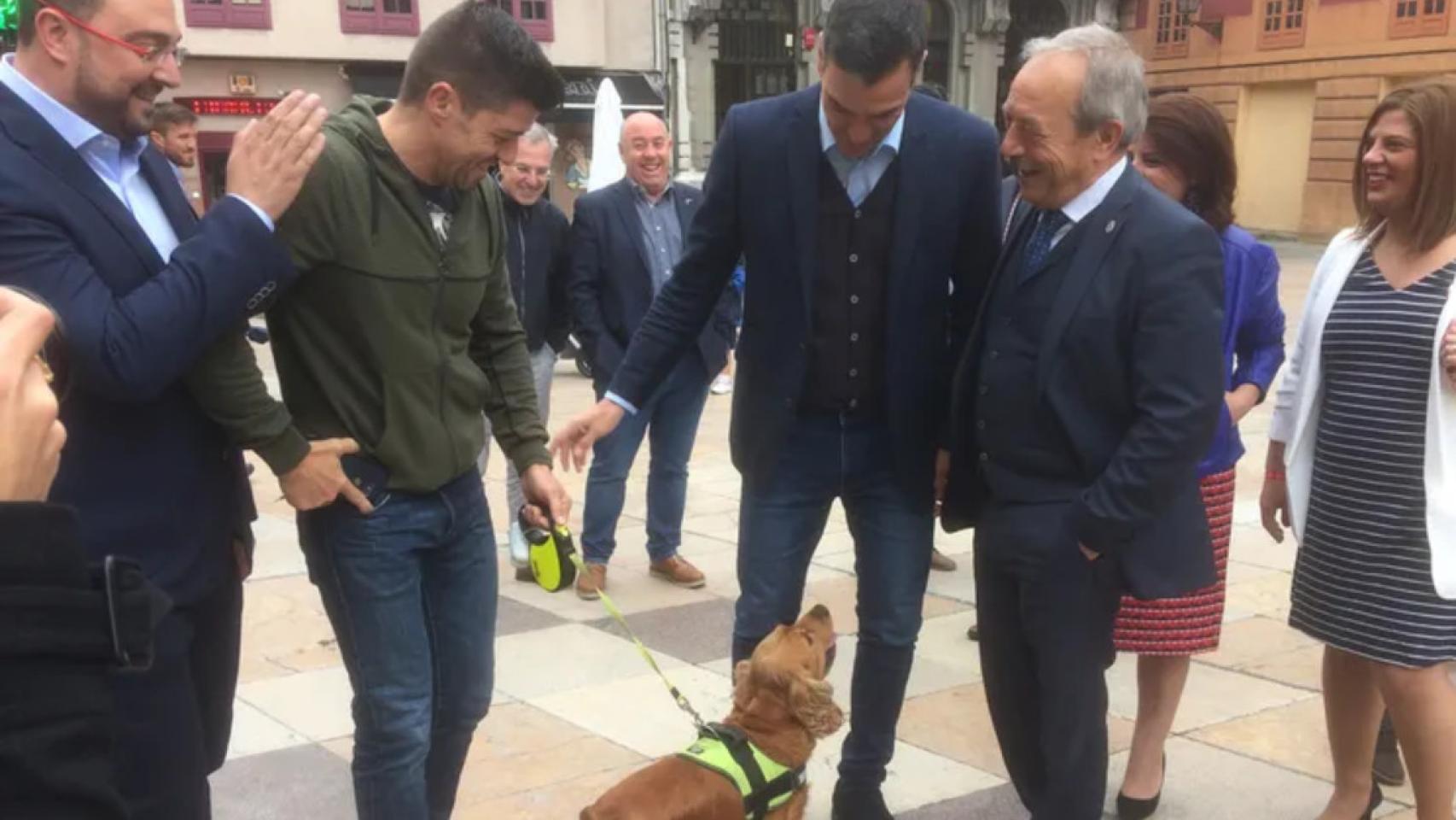 'Perro Sanxe' o cómo Sánchez usa un ataque sea un lema