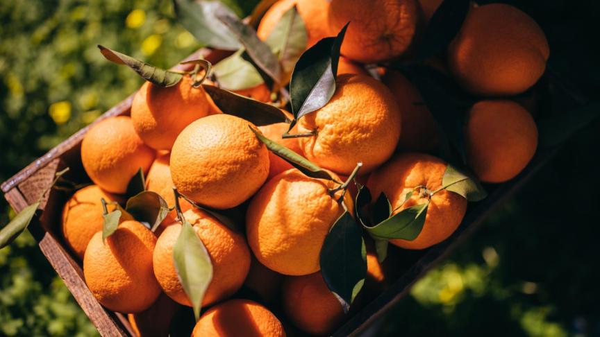 El motivo por el que todo el mundo habla de las naranjas de Mercadona