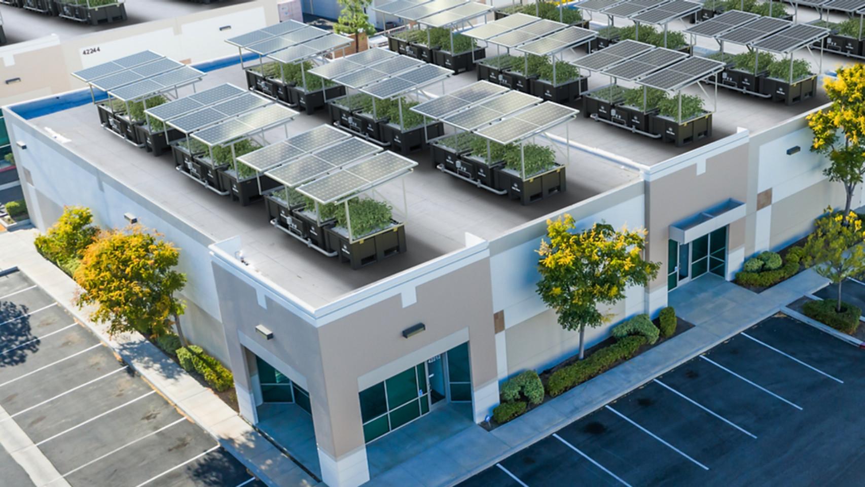 Las placas solares que también dan lechugas: los kits con huerto urbano que no necesitan instalación