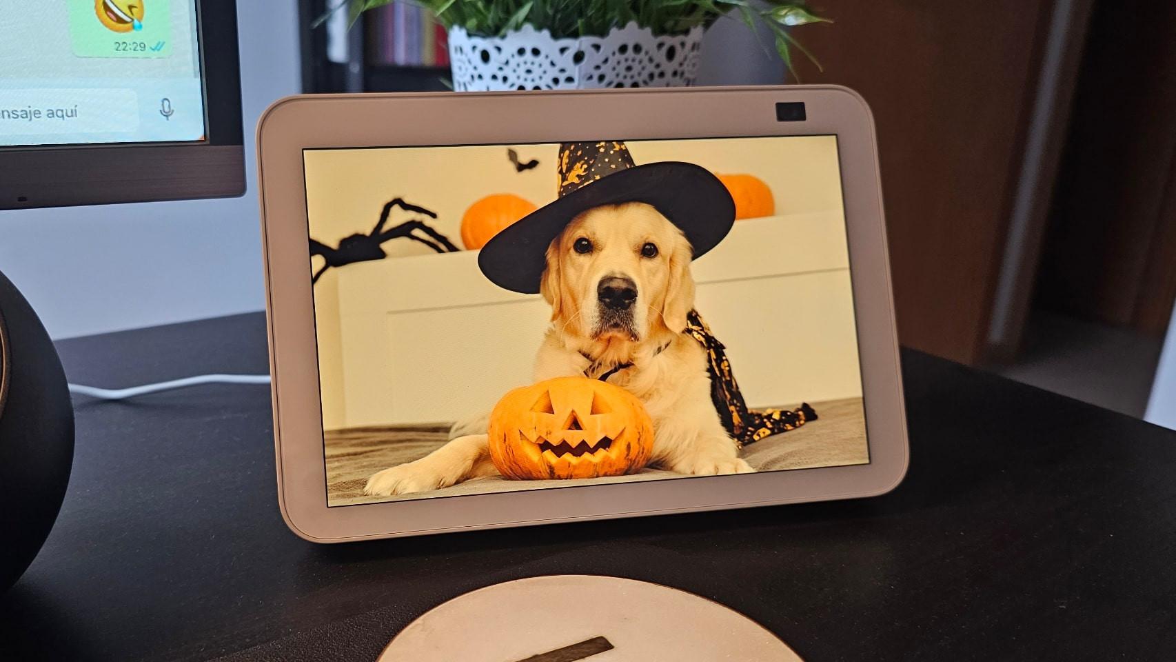 Así se activa el divertido y "terrorífico" modo Zombie en los altavoces ...