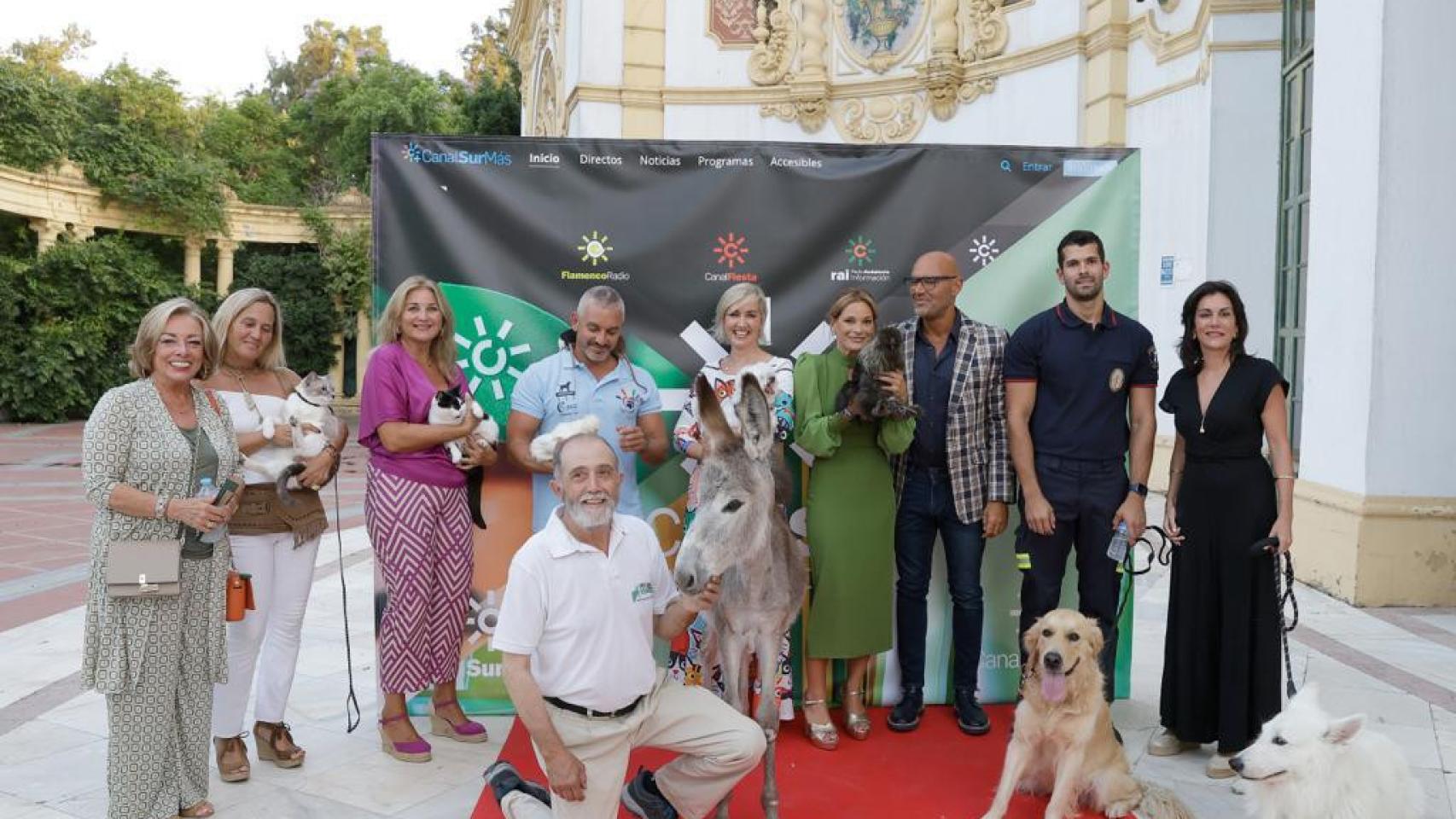 De 'Un día de perros' a 'Patas arribas': así realiza pedagogía la televisión sobre la Ley de ...