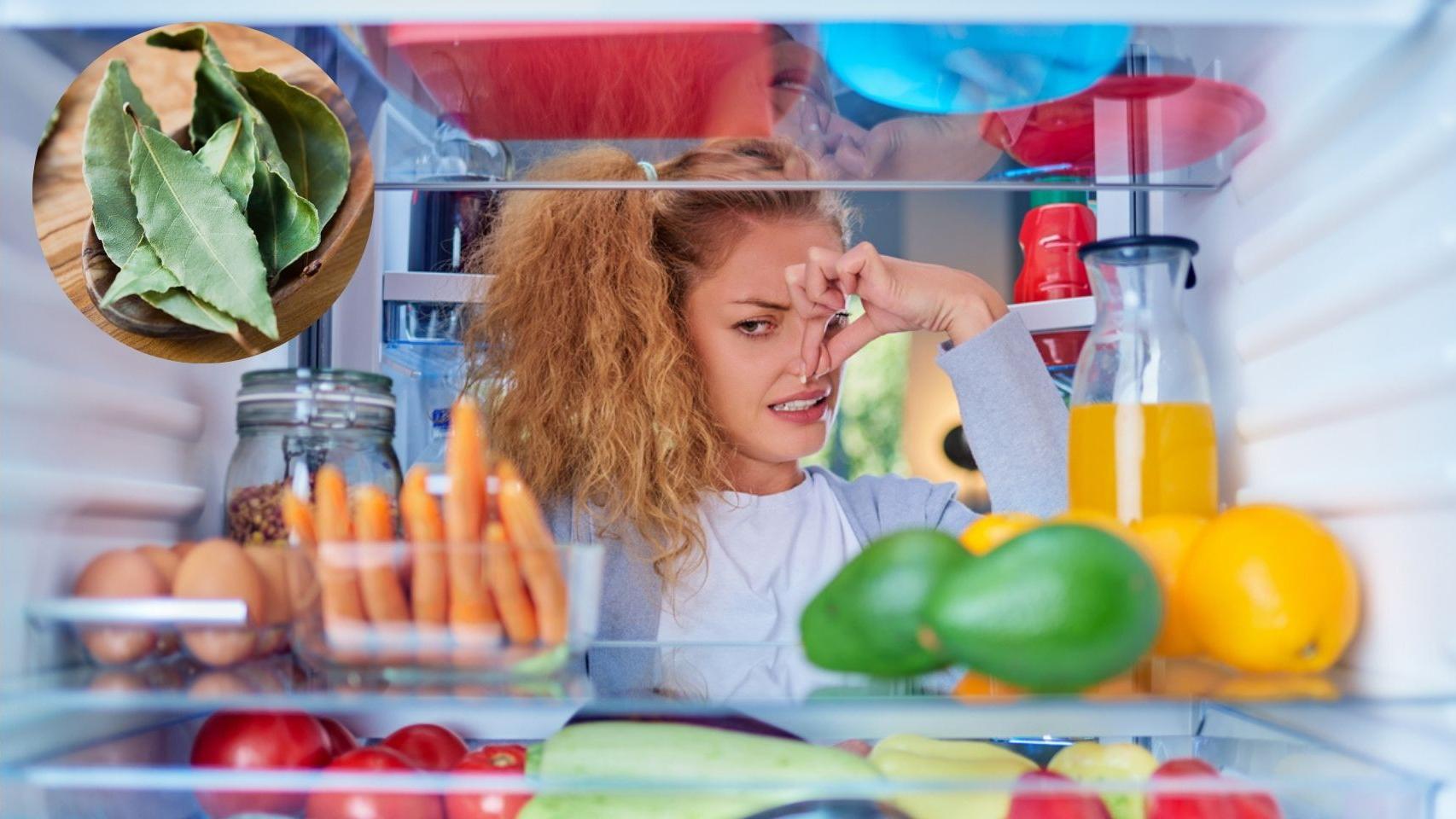 El sencillo truco de las abuelas para eliminar el mal olor de la nevera con algo que todos tenemos