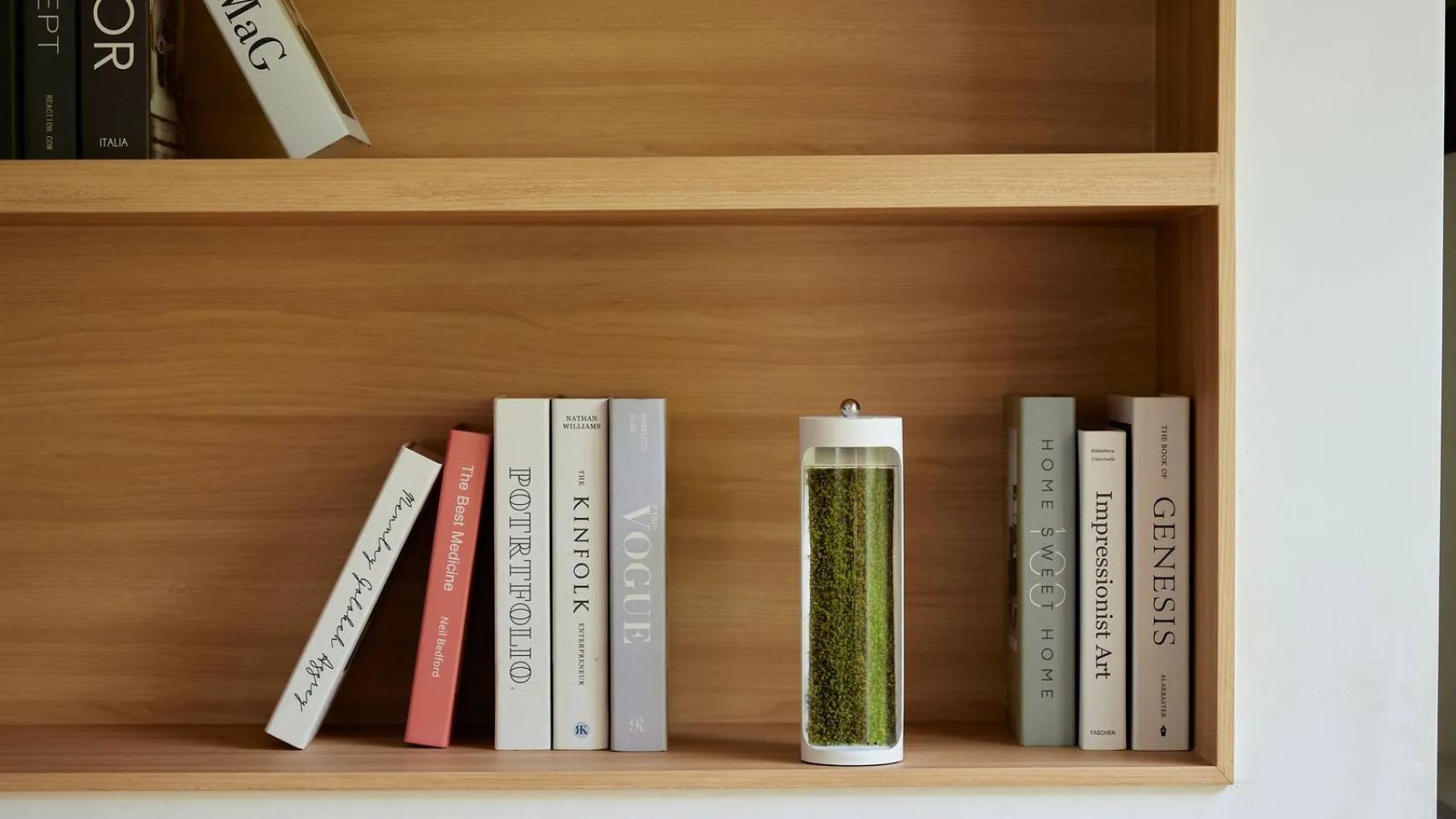 Moss Air, un purificador y humidificador portátil que limpia el aire de ...
