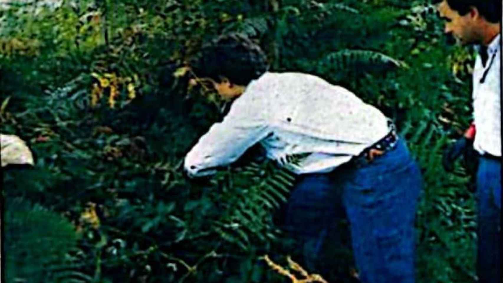 Homenaje a Arques: lea aquí la exclusiva que publicó 'Diario 16' sobre ...