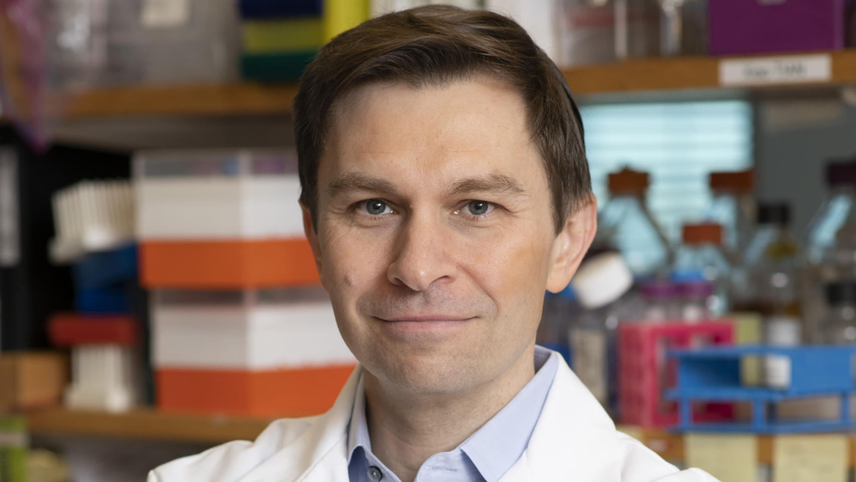 David Sinclair, gurú de Harvard: "Tres comidas al día en España y picar ...