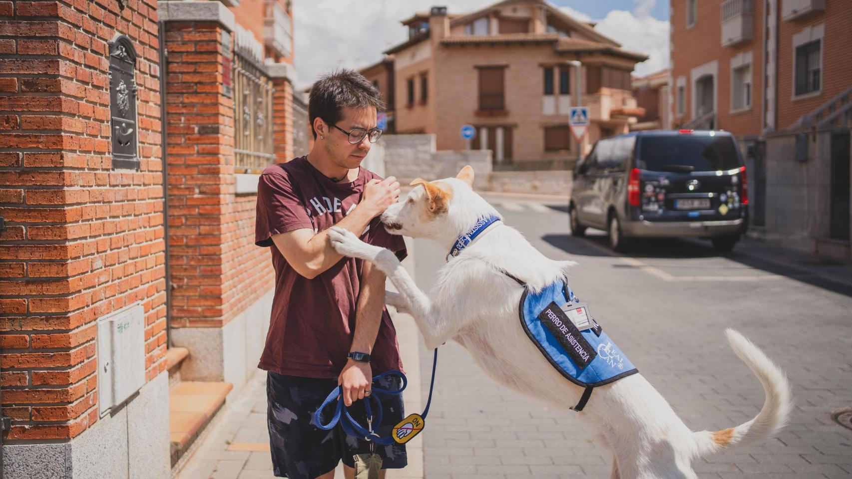"Me salva el día a día": la vida con Maylo, el perro guardián que cuida ...