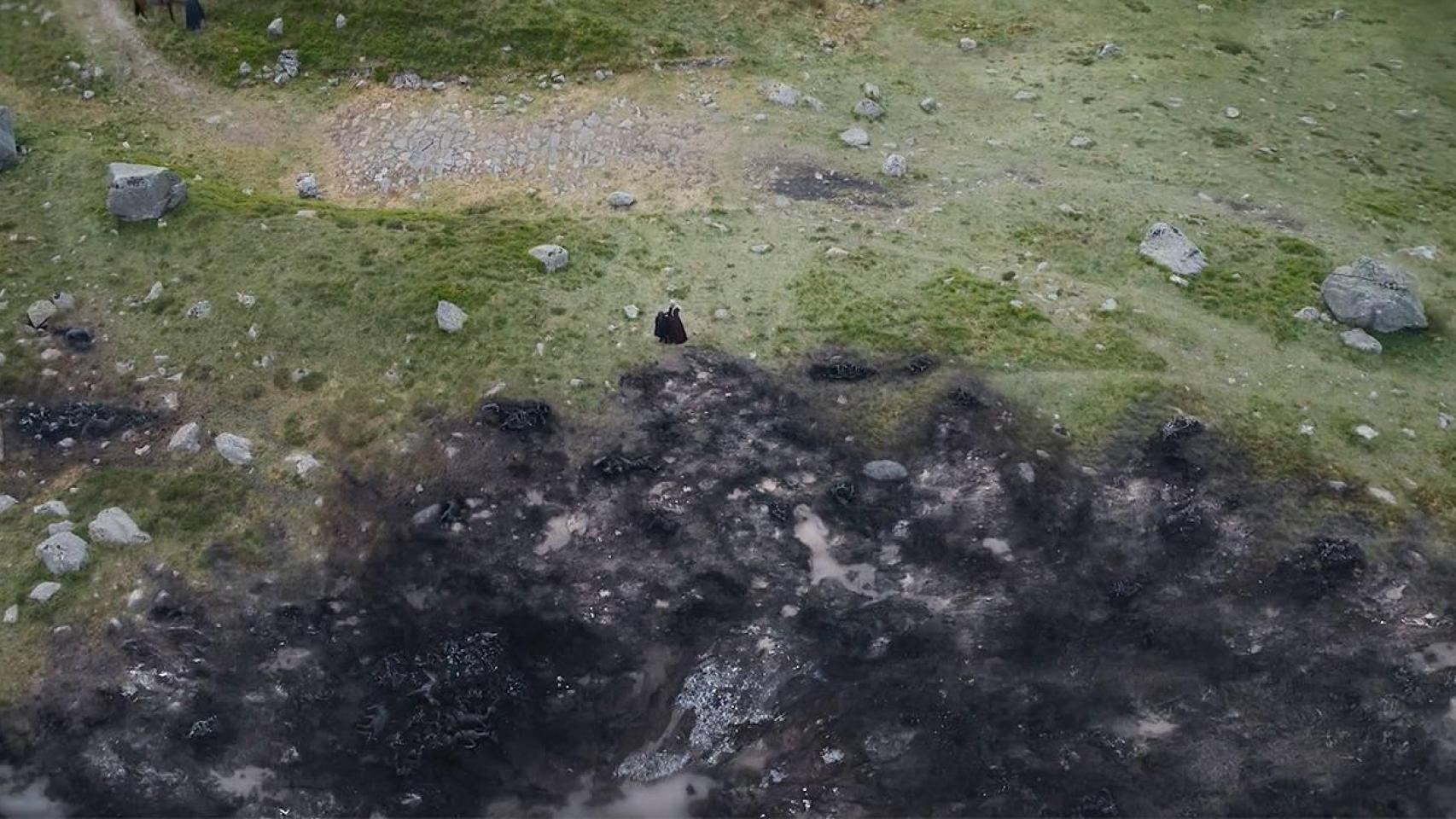 What is the new wild dragon from episode 2x06: the big change in 'House ...