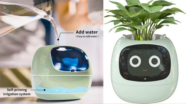 Esta maceta inteligente cuida de tu planta y se comporta casi como el ...