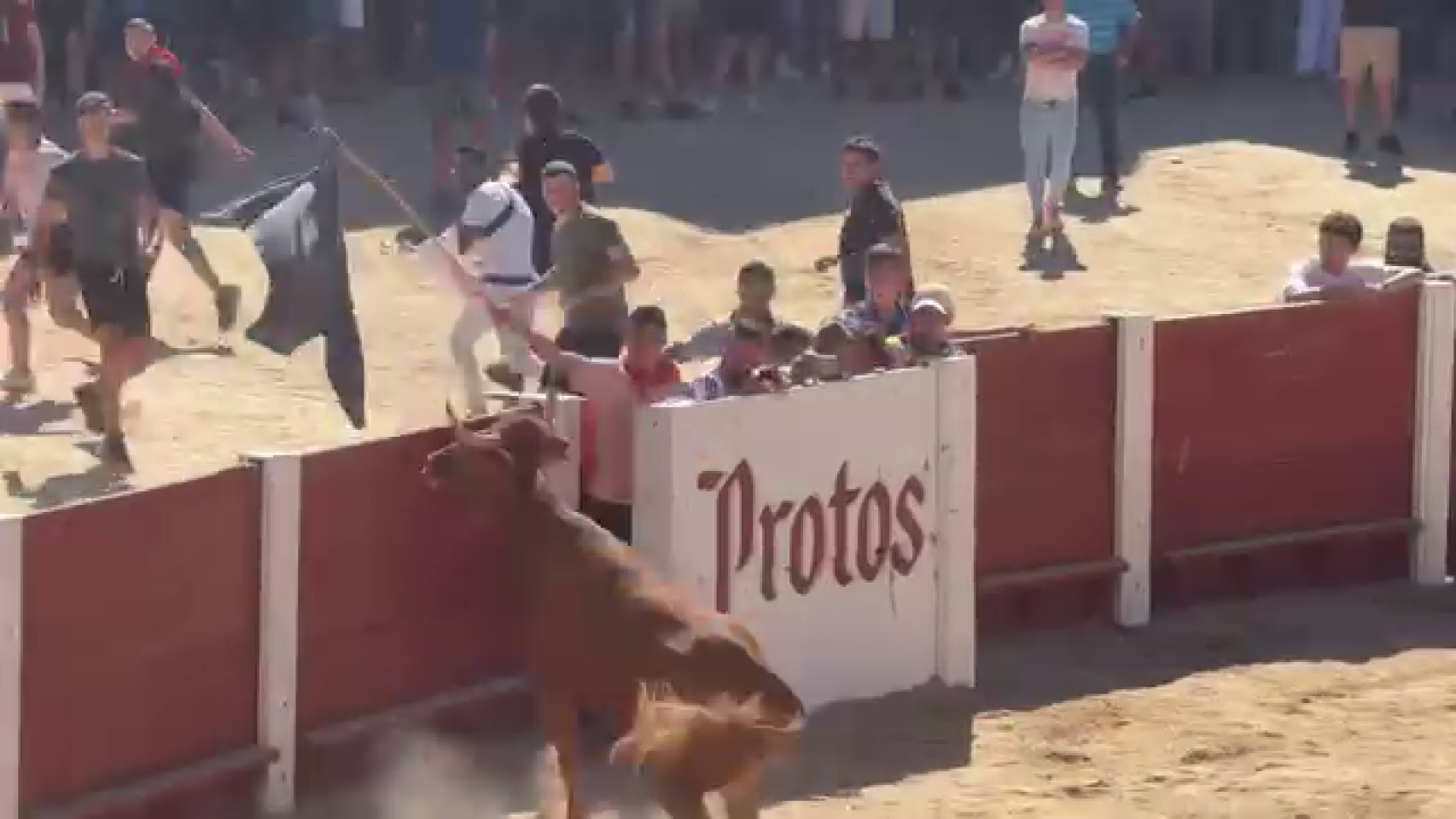 La vaca saltarina al estilo Grand Prix de unas conocidas fiestas de la ...