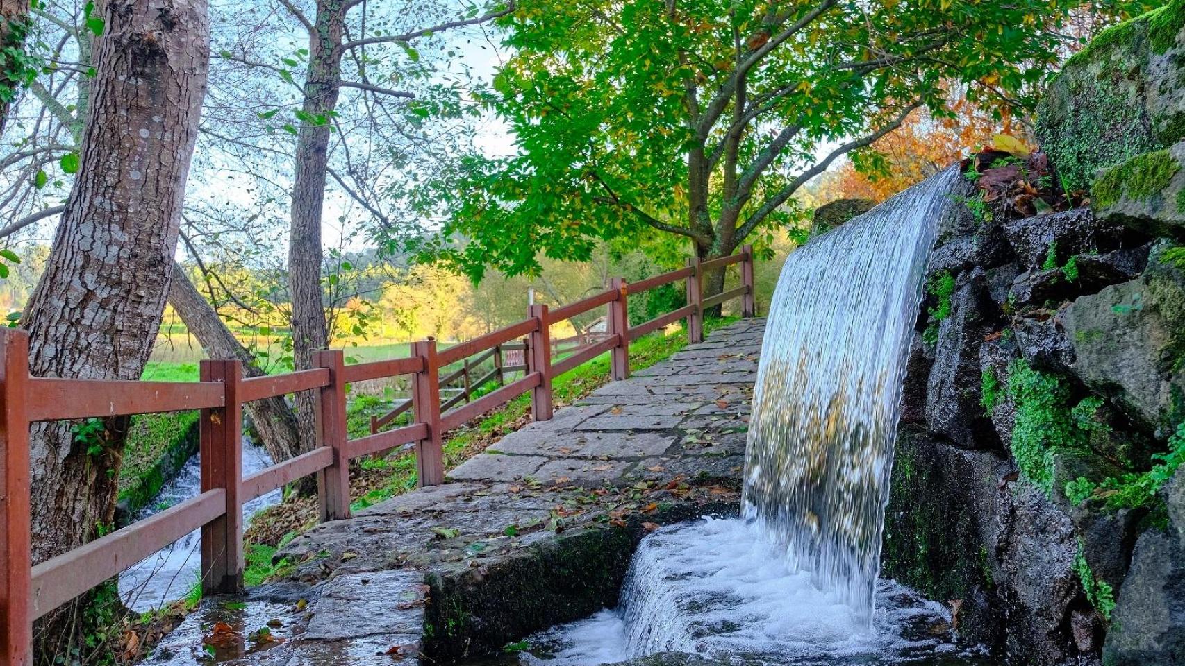 El mágico sendero de Pontevedra en pleno bosque y a orillas del río ...