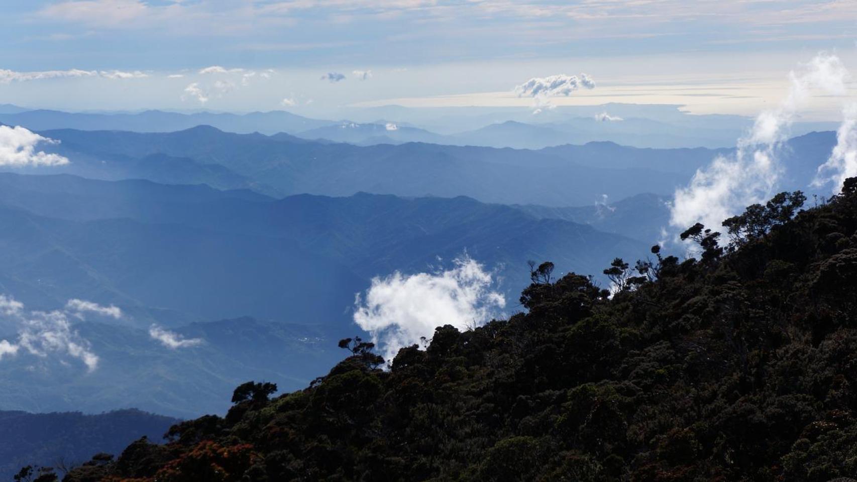Un destino exuberante y fascinante, un auténtico paraíso natural: Isla ...