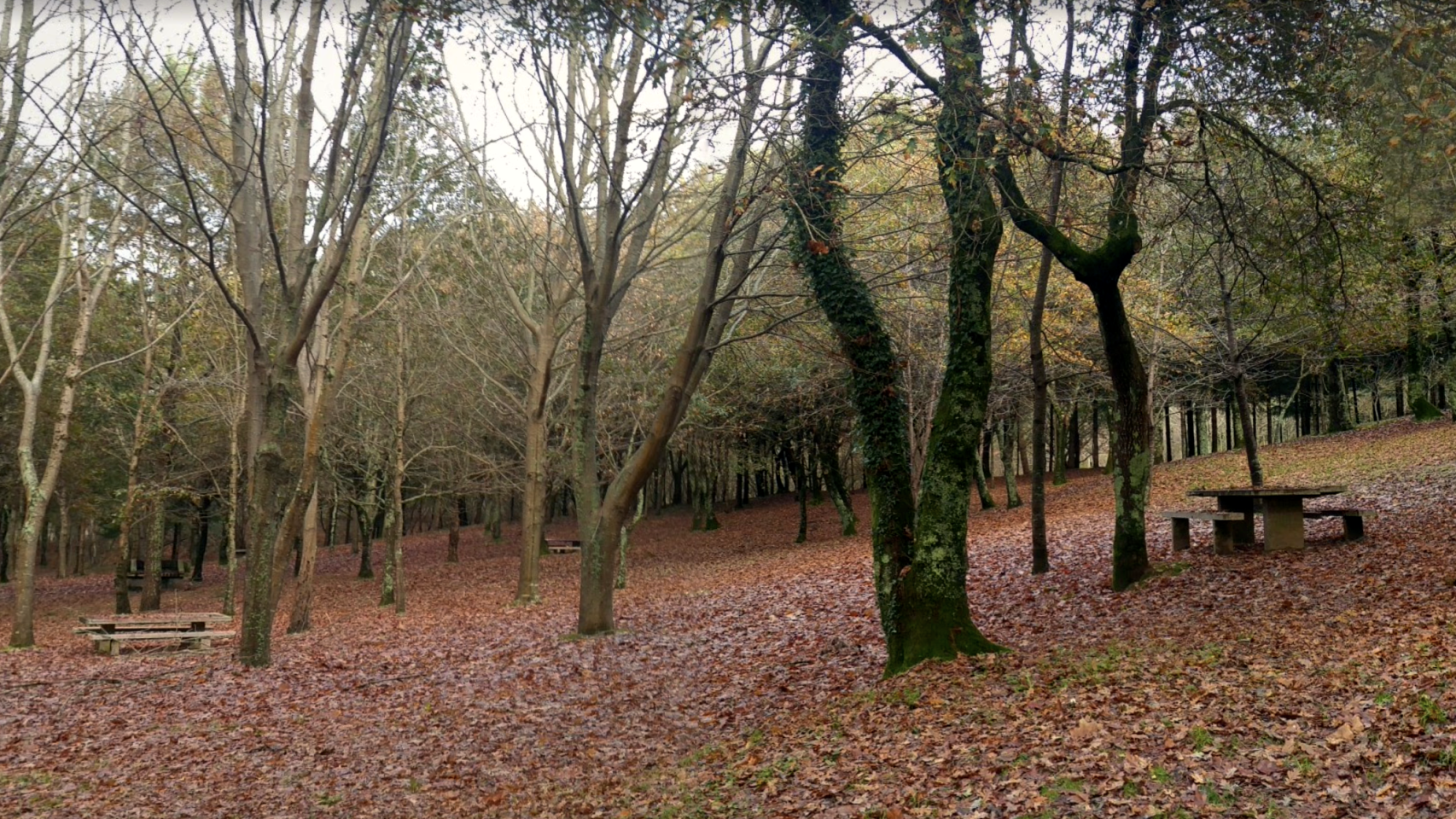 El Vigo verde: siete parques forestales para respirar aire puro sin ...