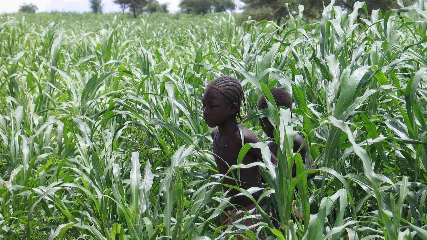 Unión de Comoras es un archipiélago formado por tres islas en el ...