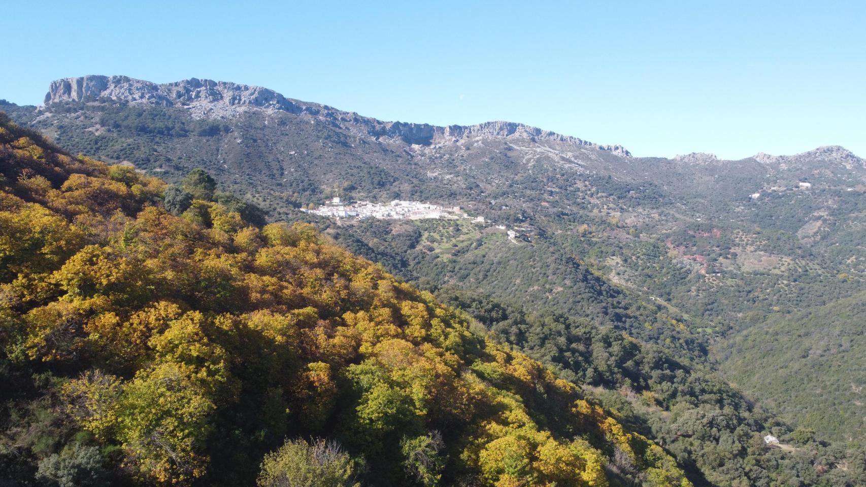 El sendero de Málaga ideal para una escapada a la naturaleza en Semana ...