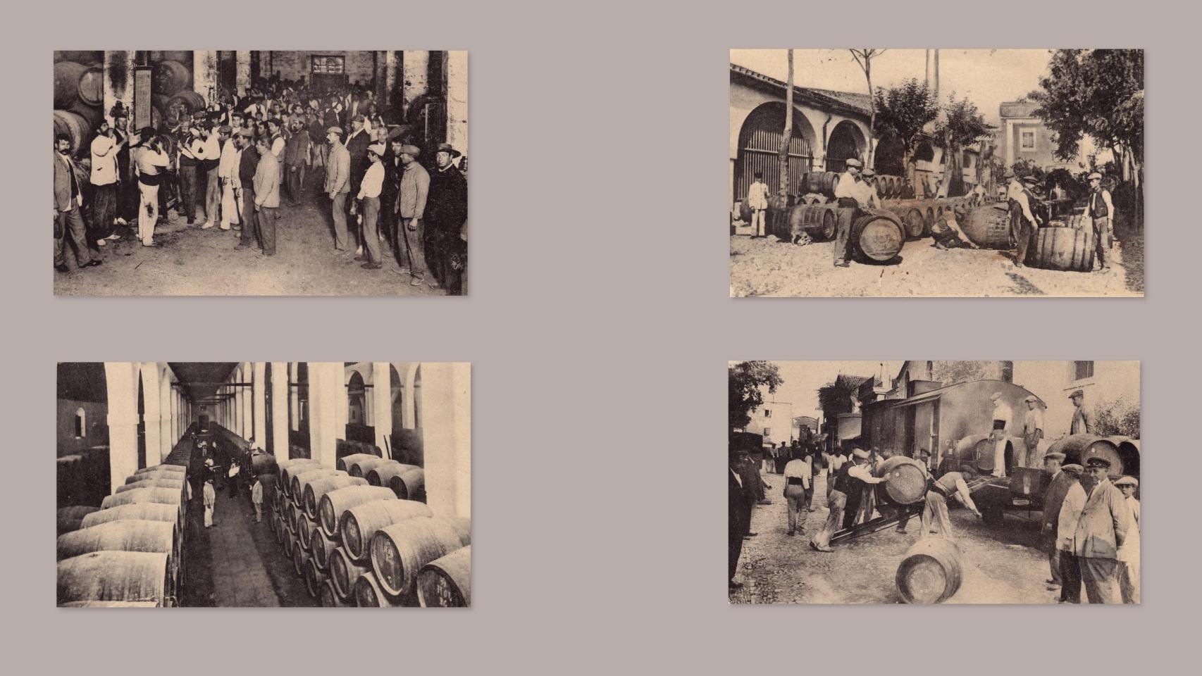 El libro que revela la historia de Fundador, el primer brandy español ...