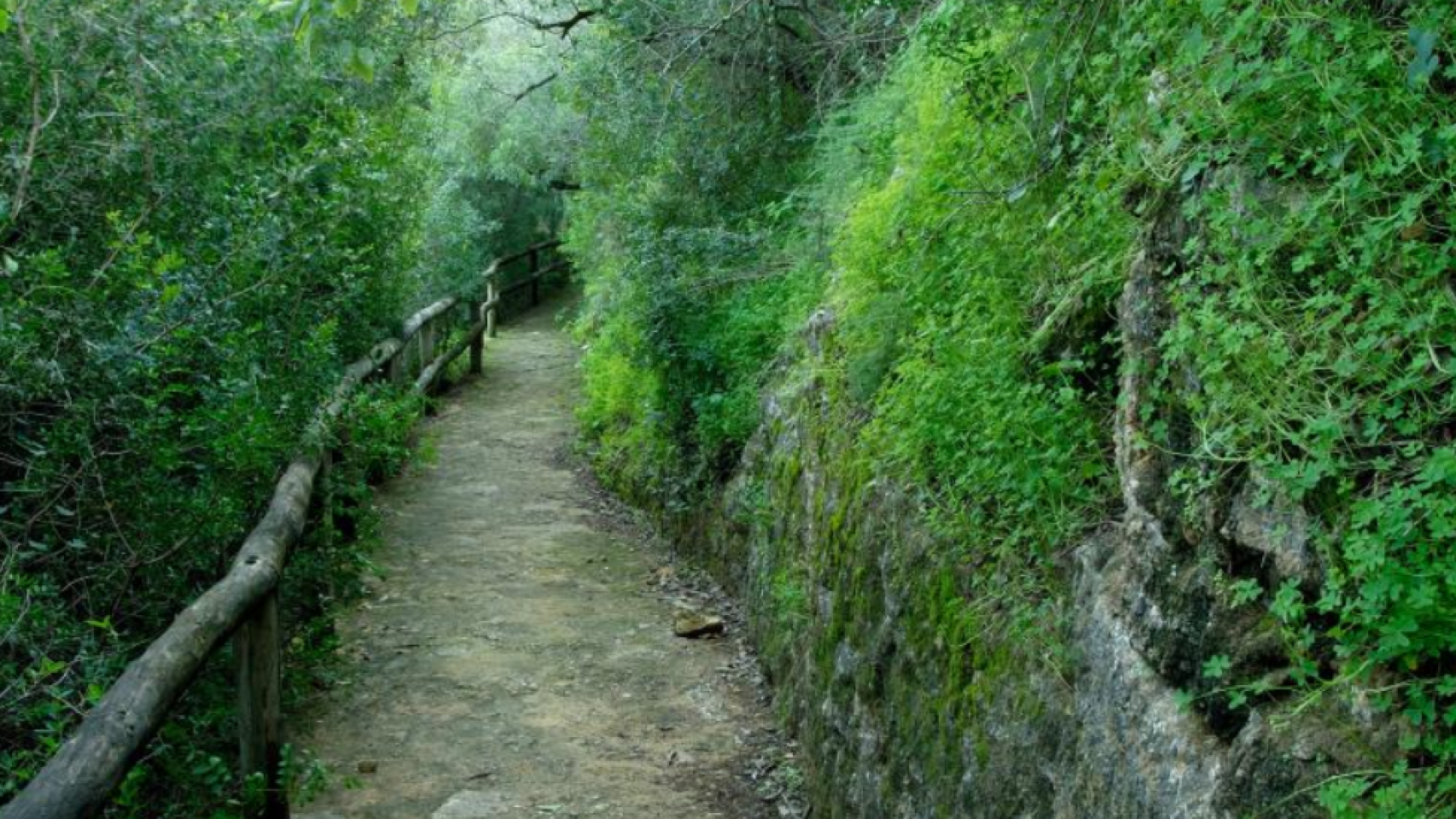 El sendero de Sevilla perfecto para los meses de frío: repleto de ...