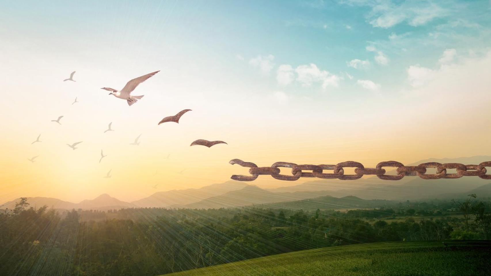 Una nueva espiritualidad en nuestra era VUCA: mantener claro el rumbo ...