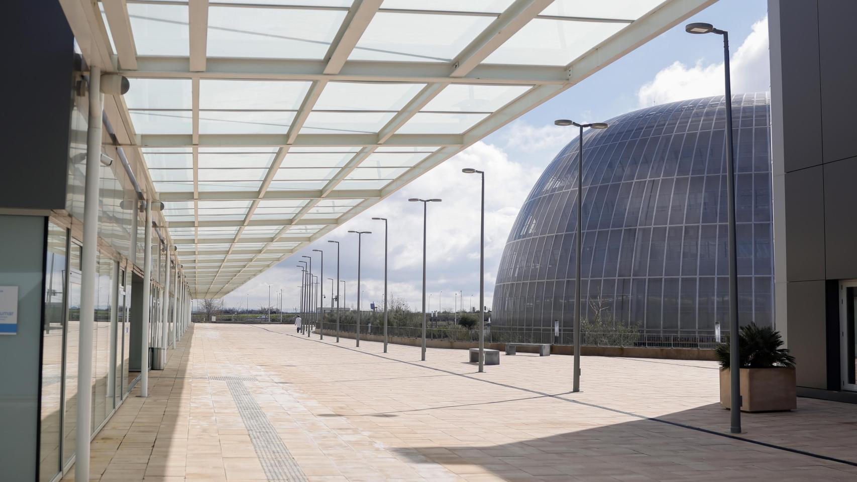 Las cuatro nuevas vidas del Zendal tras la Covid: el gran centro de ...