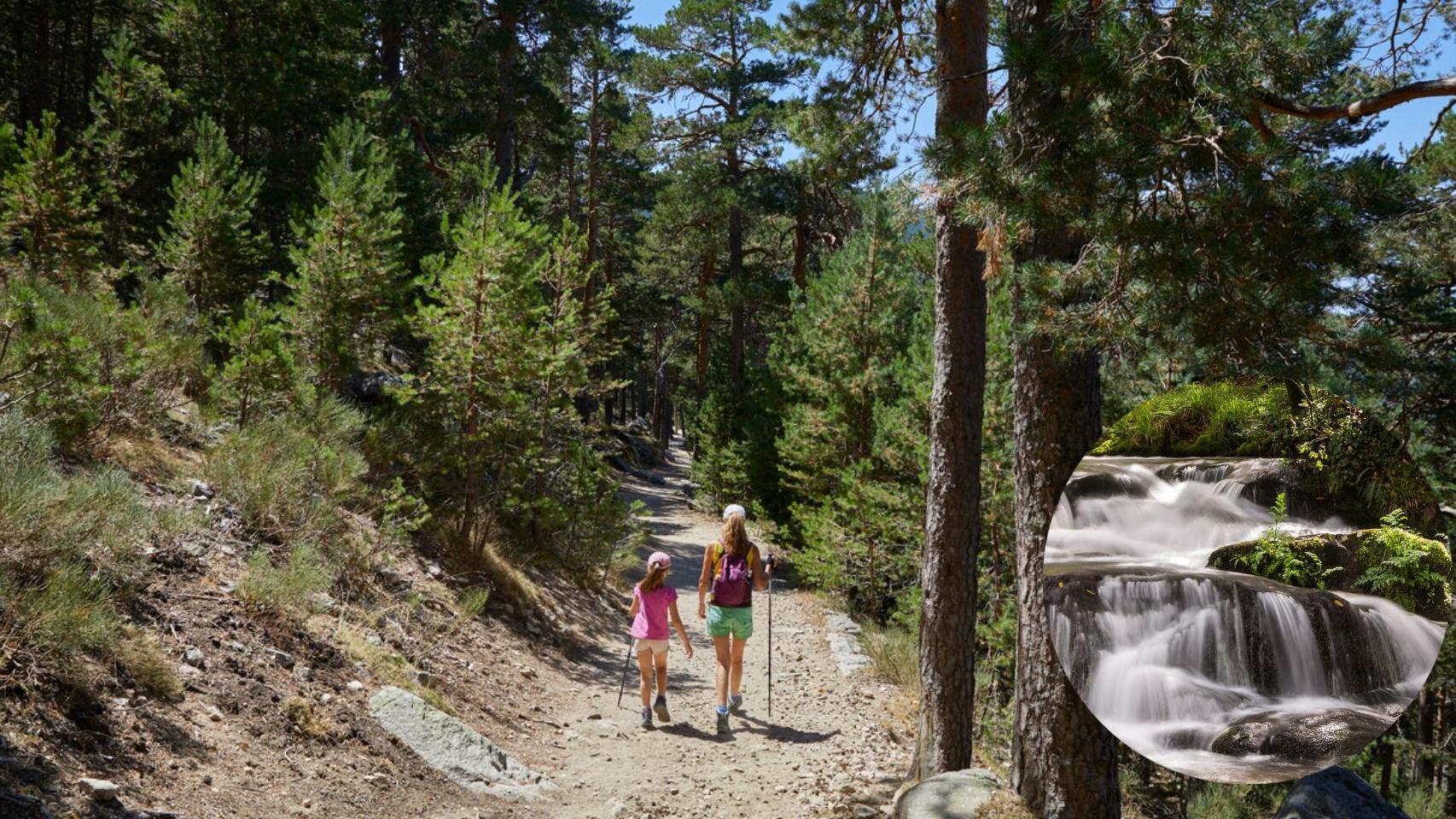 Parece Costa Rica pero está en Galicia: un refugio natural con una ...