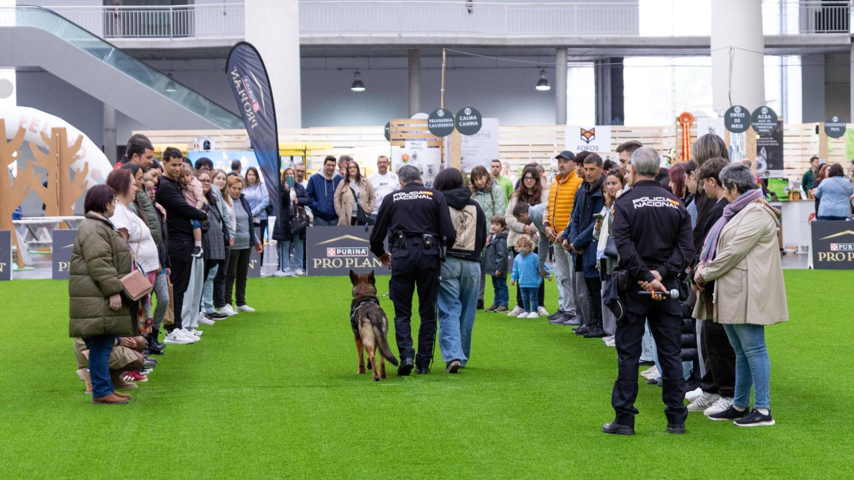 Inaugurado PATA PATA 2025 en A Coruña, la primera feria de animales de ...