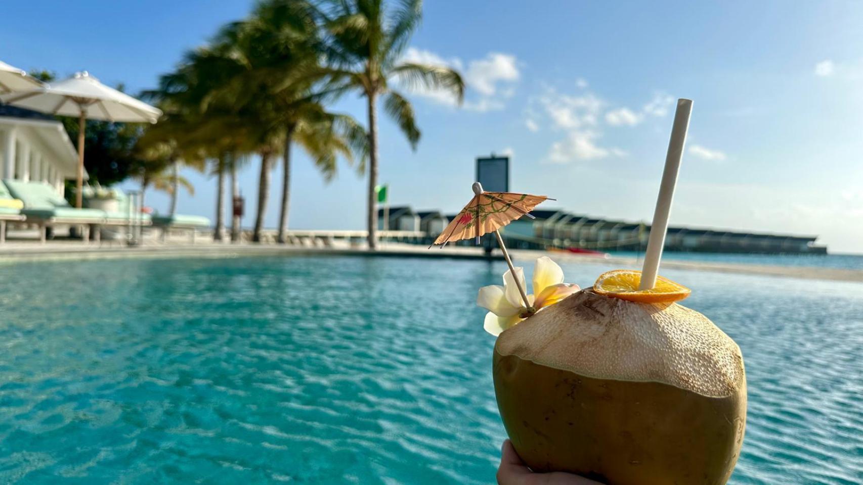 Por qué cuestan más los cocos que el alcohol en un resort de Maldivas