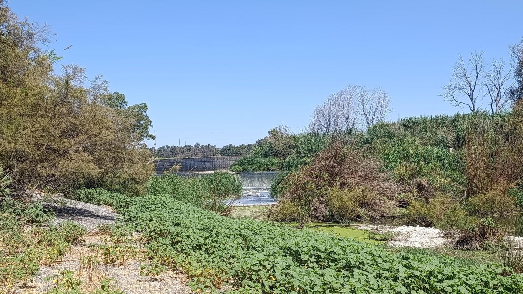 Los vecinos de la Vega de Mestanza, tras la paralización de las obras ...
