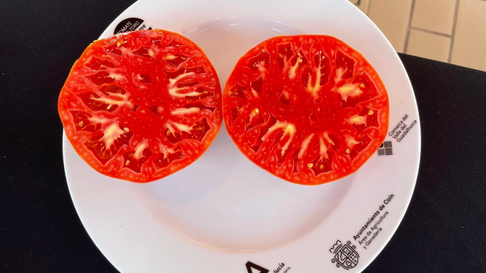 Arranca la temporada de tomate Huevo de Toro en Málaga: 250.000 plantas ...