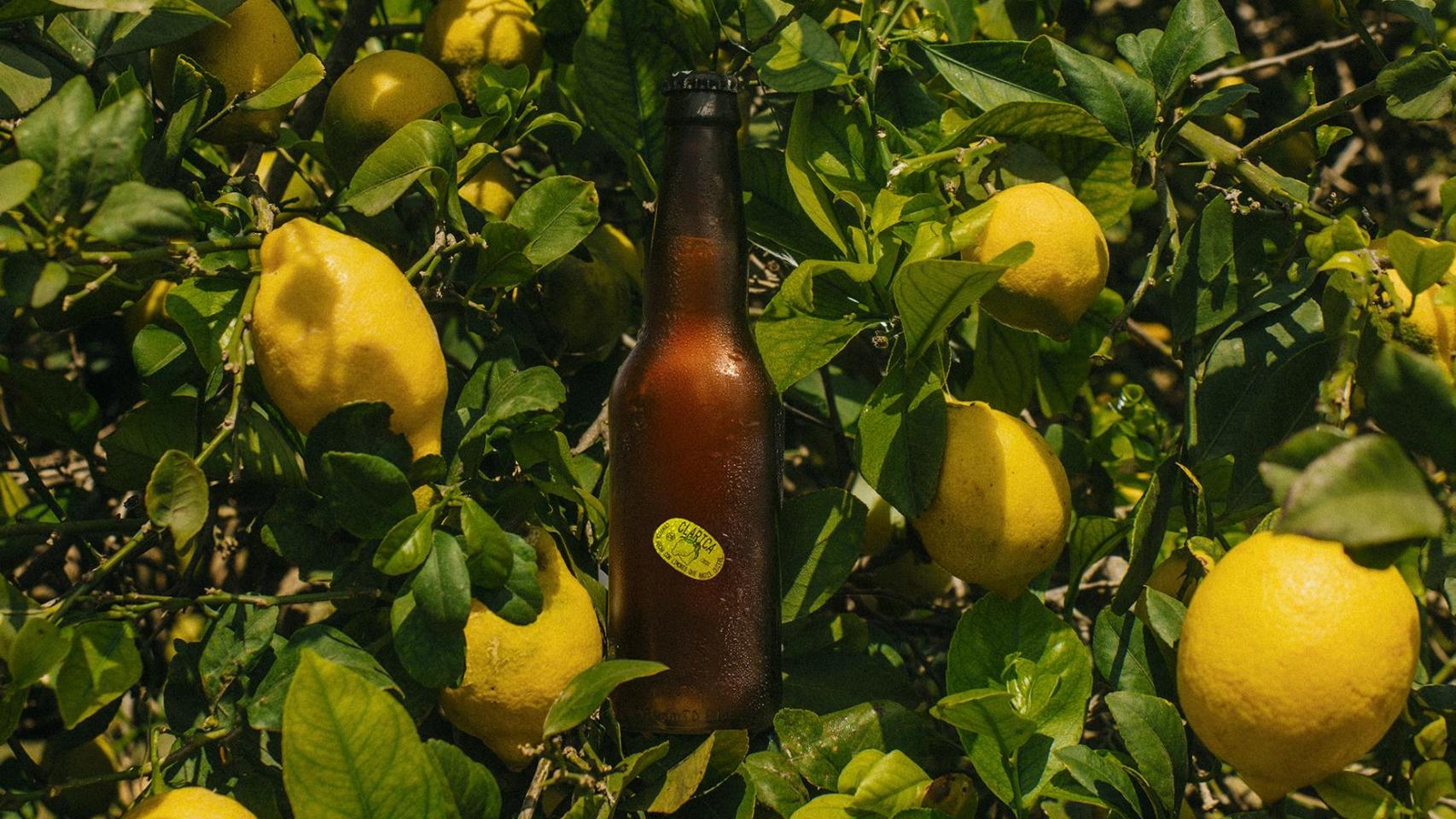 La nueva cerveza de Murcia hecha con "limones feos" que nadie quiere y ...