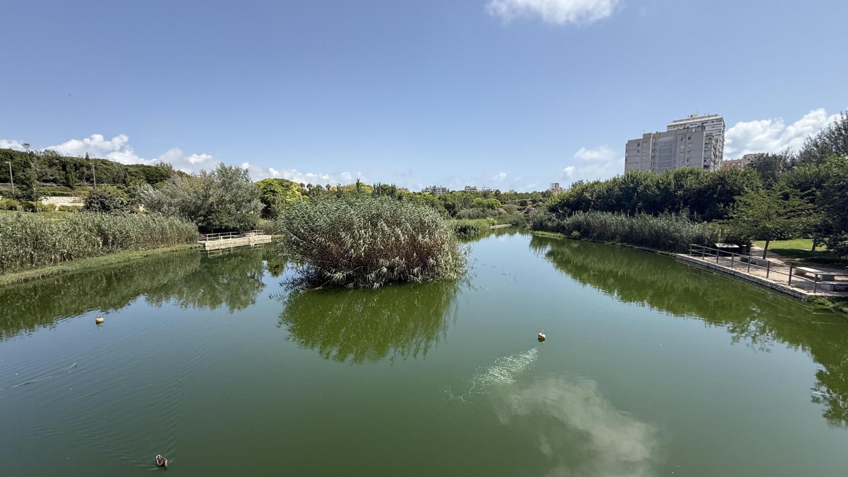 Así es el parque inundable que existe desde hace una década en Alicante ...