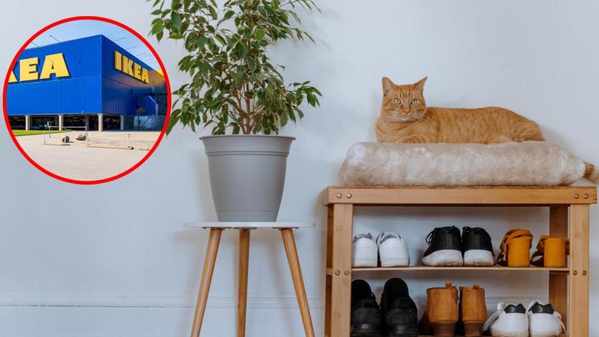 Bokep sotwe sama pacar she cleaned me up and was